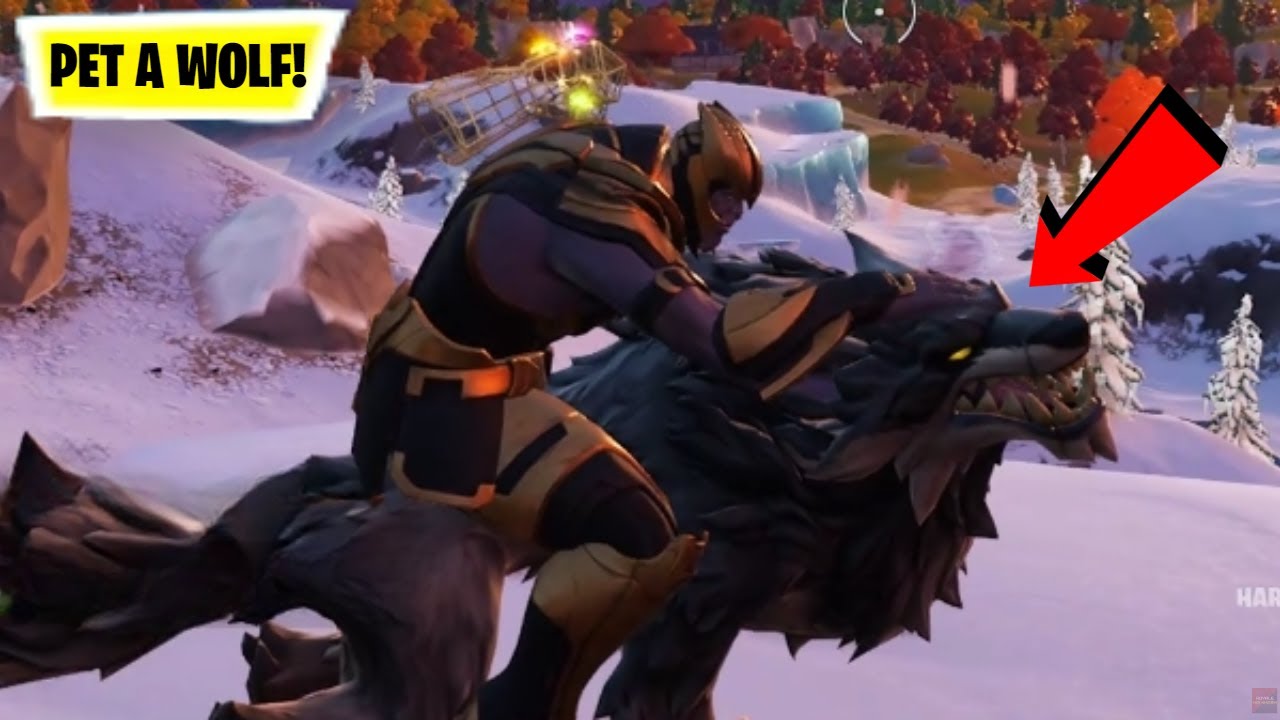 How to PET A WOLF in fortnite | How to PET A BOAR in fortnite | How to ...