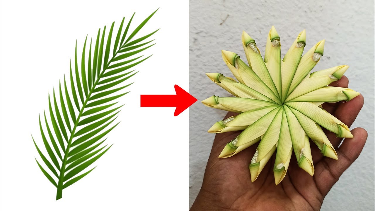 How to make Lotus from Palm leaf | DIY craft | how to make lotus flower ...