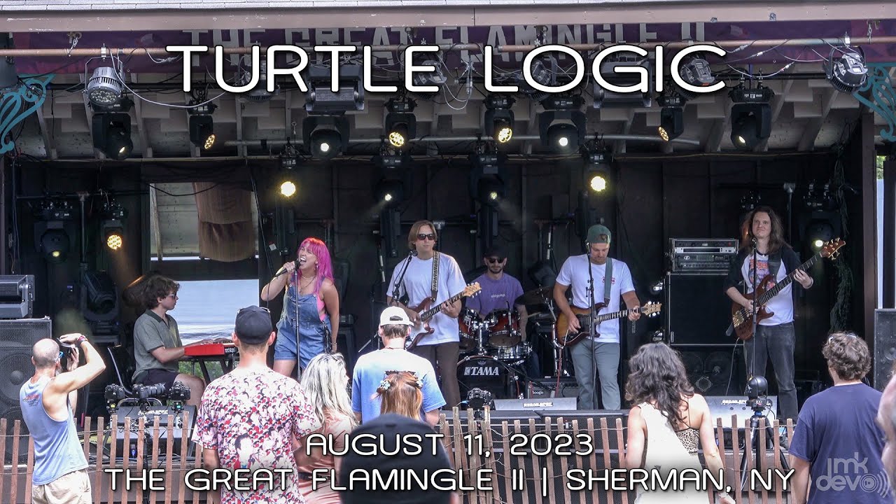 Turtle Logic: 2023-08-11 - The Great Flamingle II; Sherman, NY [4K] - YouTube