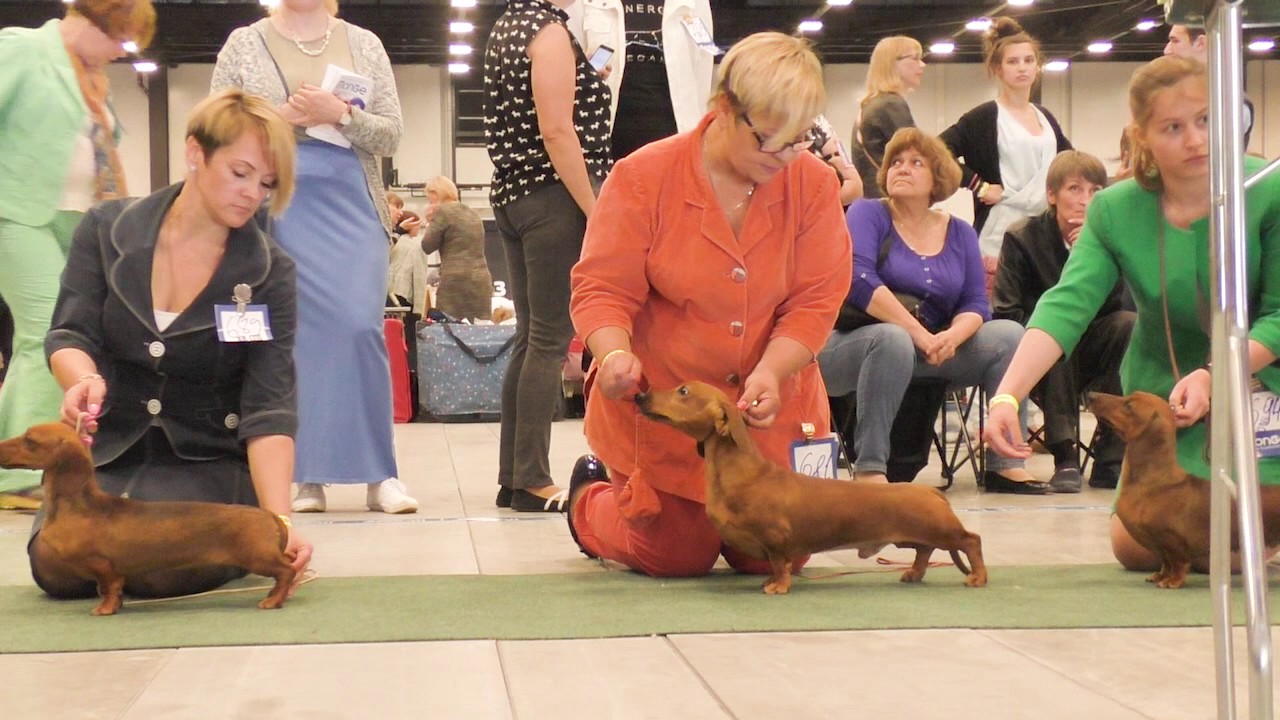 Belye Nochi - 1. 24-06-17 (эпизод 2) - YouTube