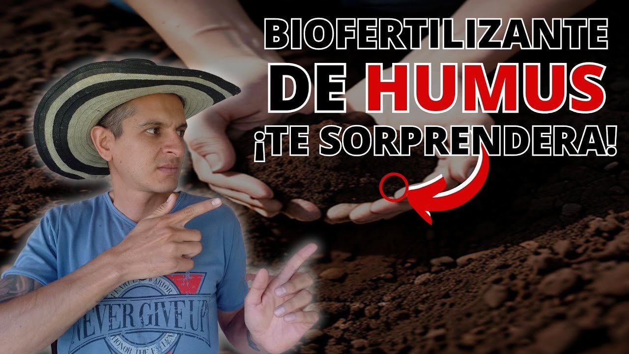 🔴Descubre El HUMATO MINERALIZADO Un [ SUPER FERTILIZANTE ] Para Nutrir ...