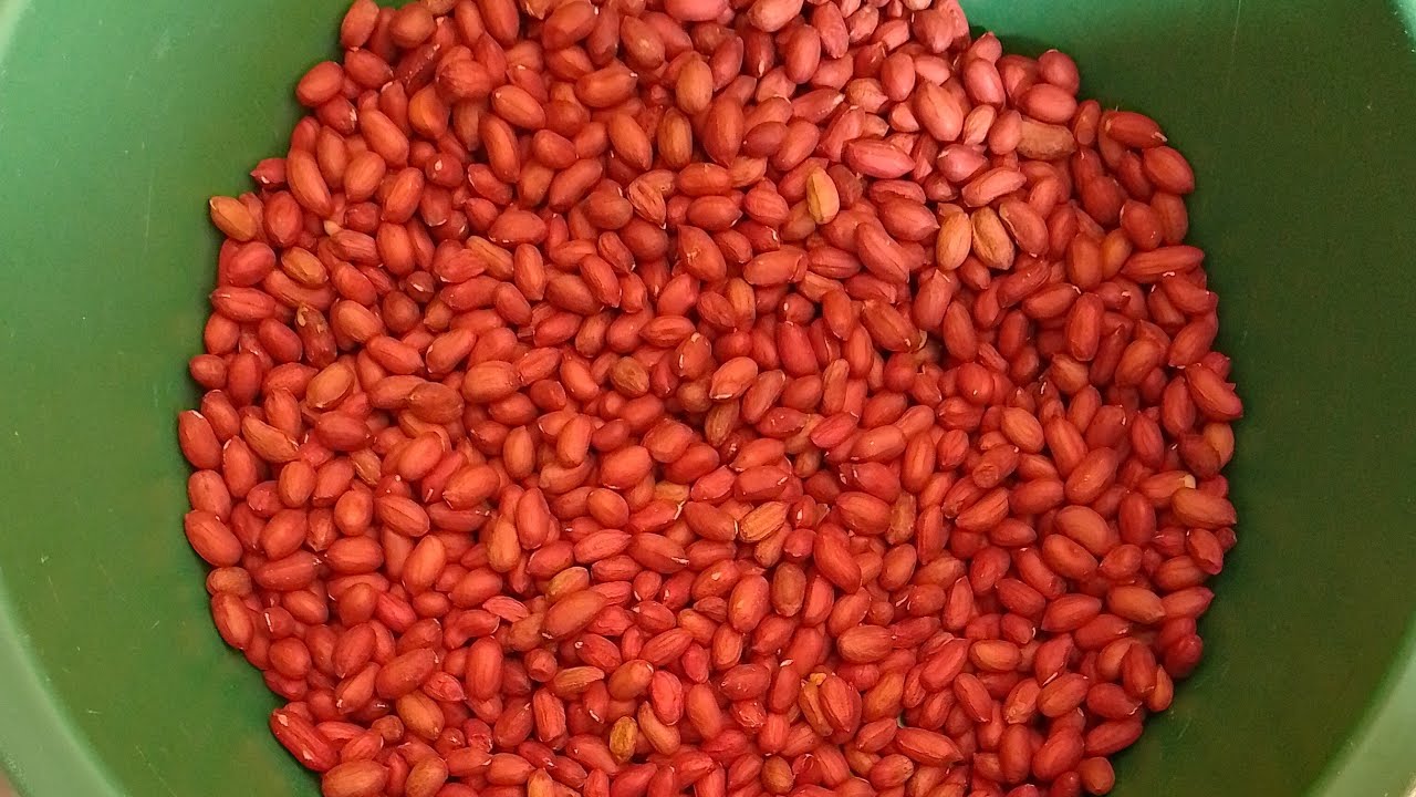 Peanuts / Groundnuts Recipe // How to roast Groundsnut/Peanuts/ Jungu ...