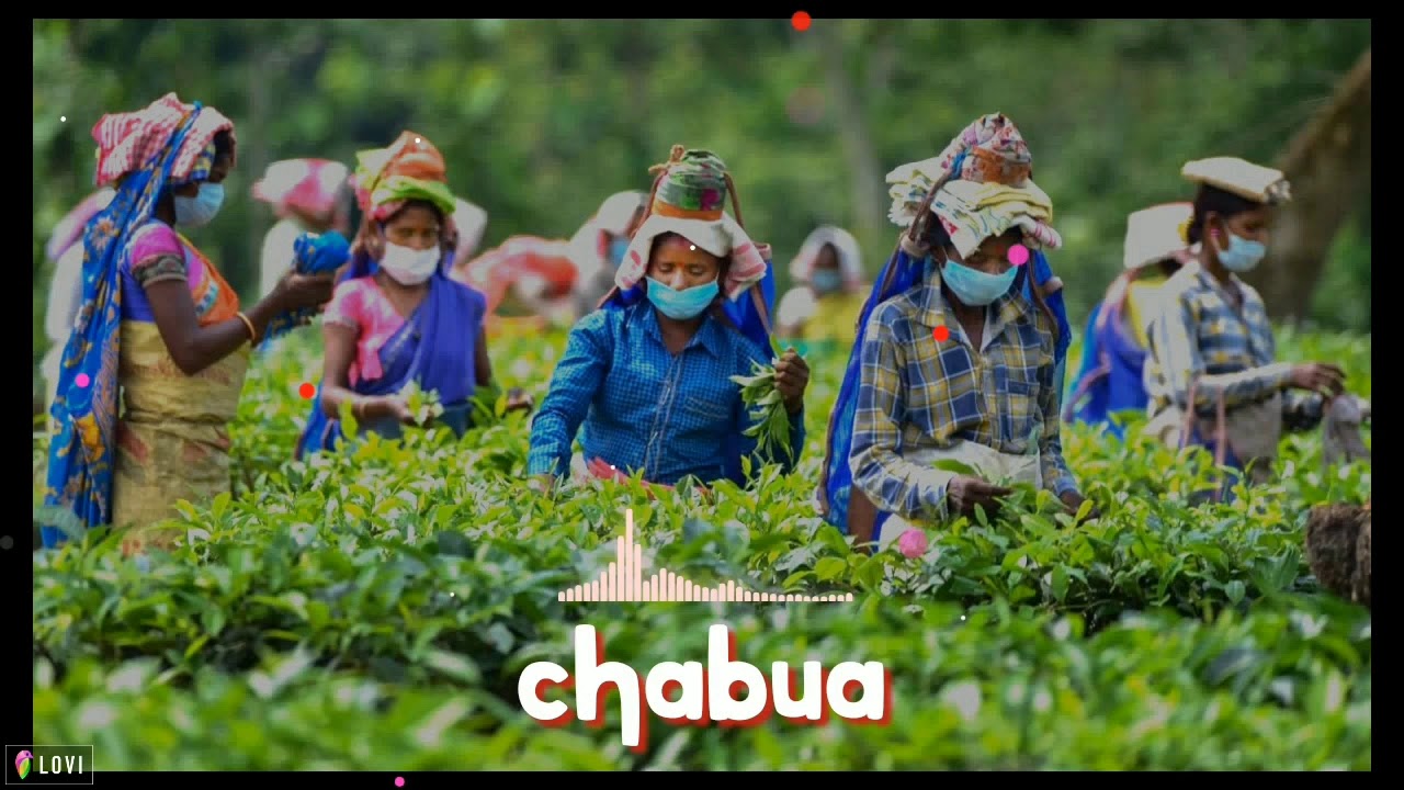 chabua idol - YouTube