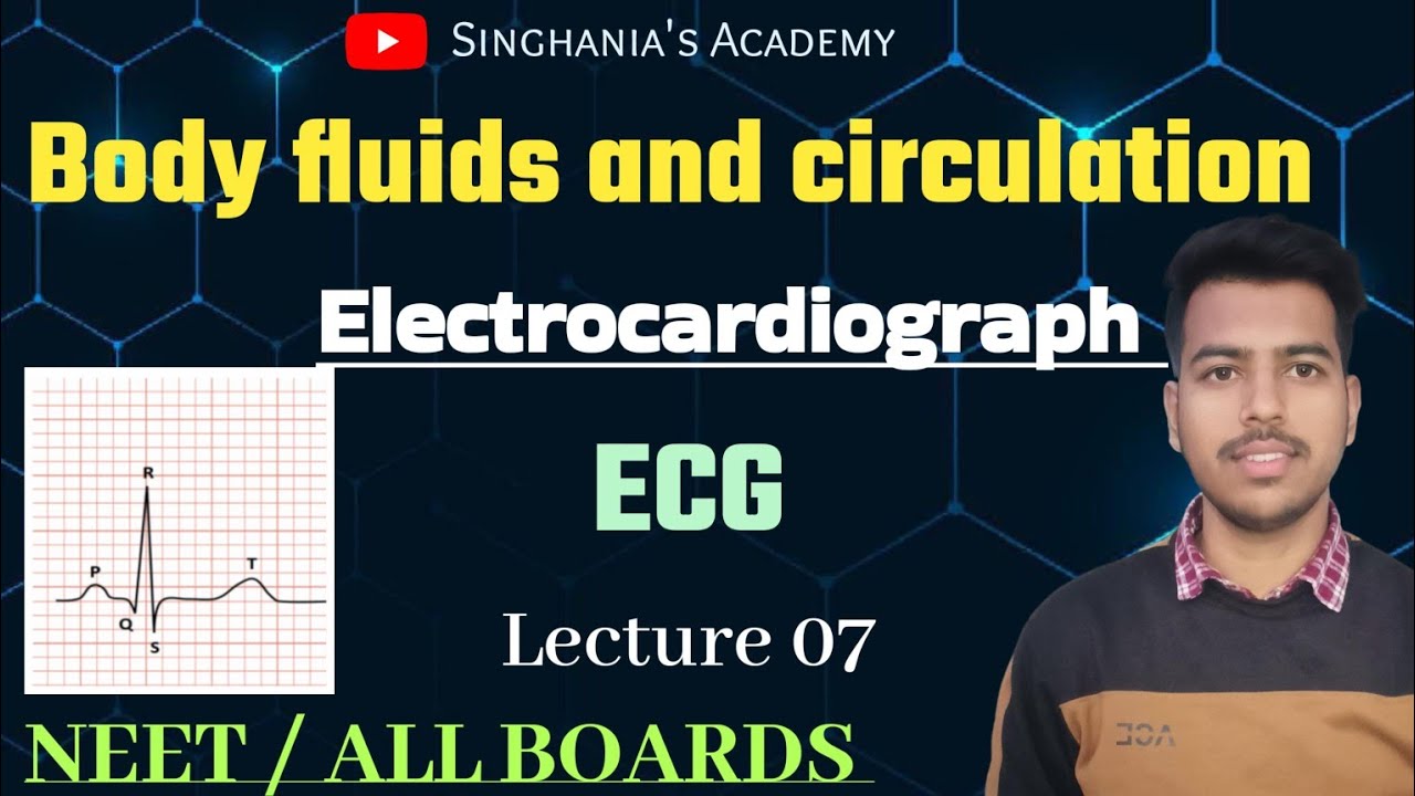 Electrocardiograph || ECG || Body fluids and circulation || Lecture 07 ...