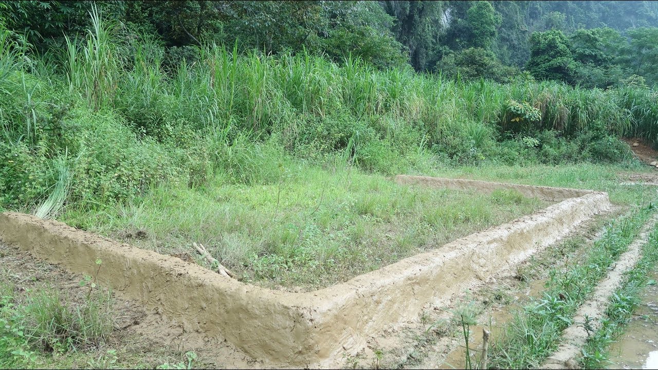 Primitive Skills: Fish Pond-Part3-Build fish ponds made of clay - YouTube