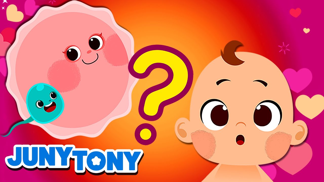 ¿Cómo Nace un Bebé? | ¿De Dónde Vienen los Bebés? | Canciones ...