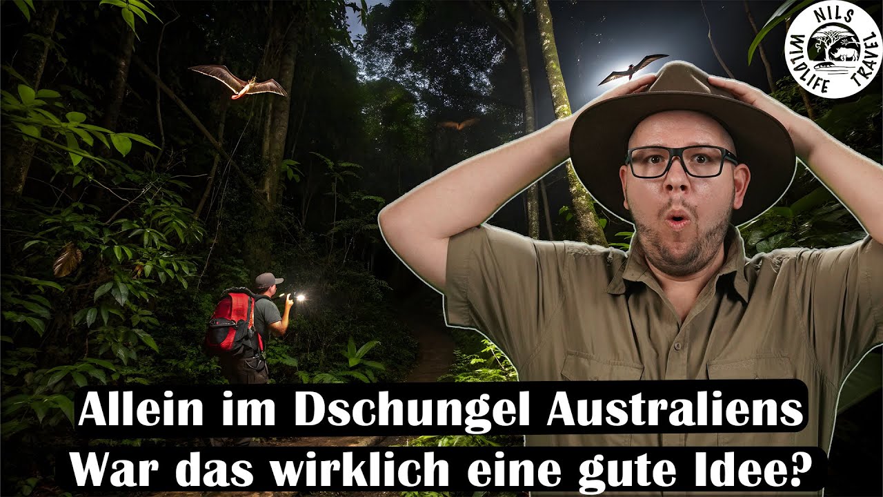 Nachttour in den Regenwald Australiens / Queensland. Expedition Djiru ...