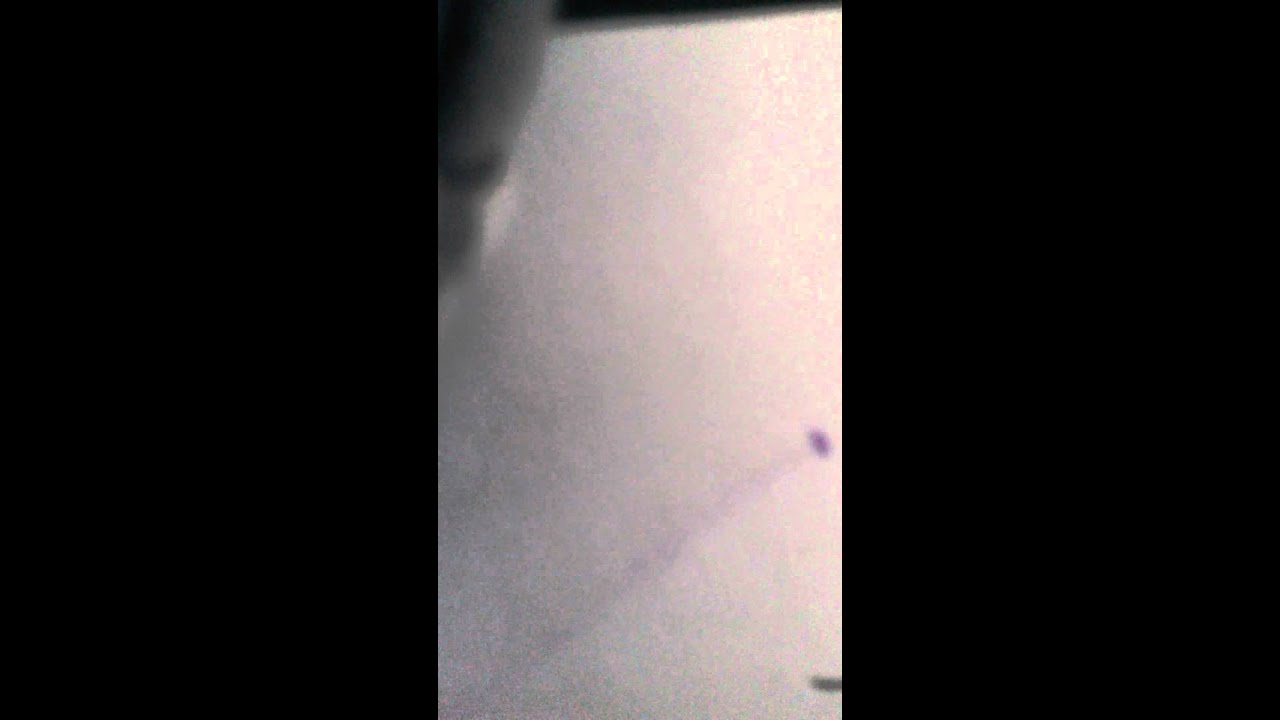 How to write haylee in cursive - YouTube