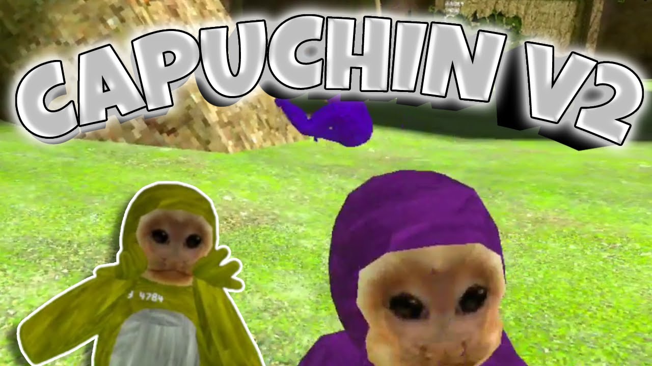 The Capuchin Remake is HILARIOUS... - YouTube