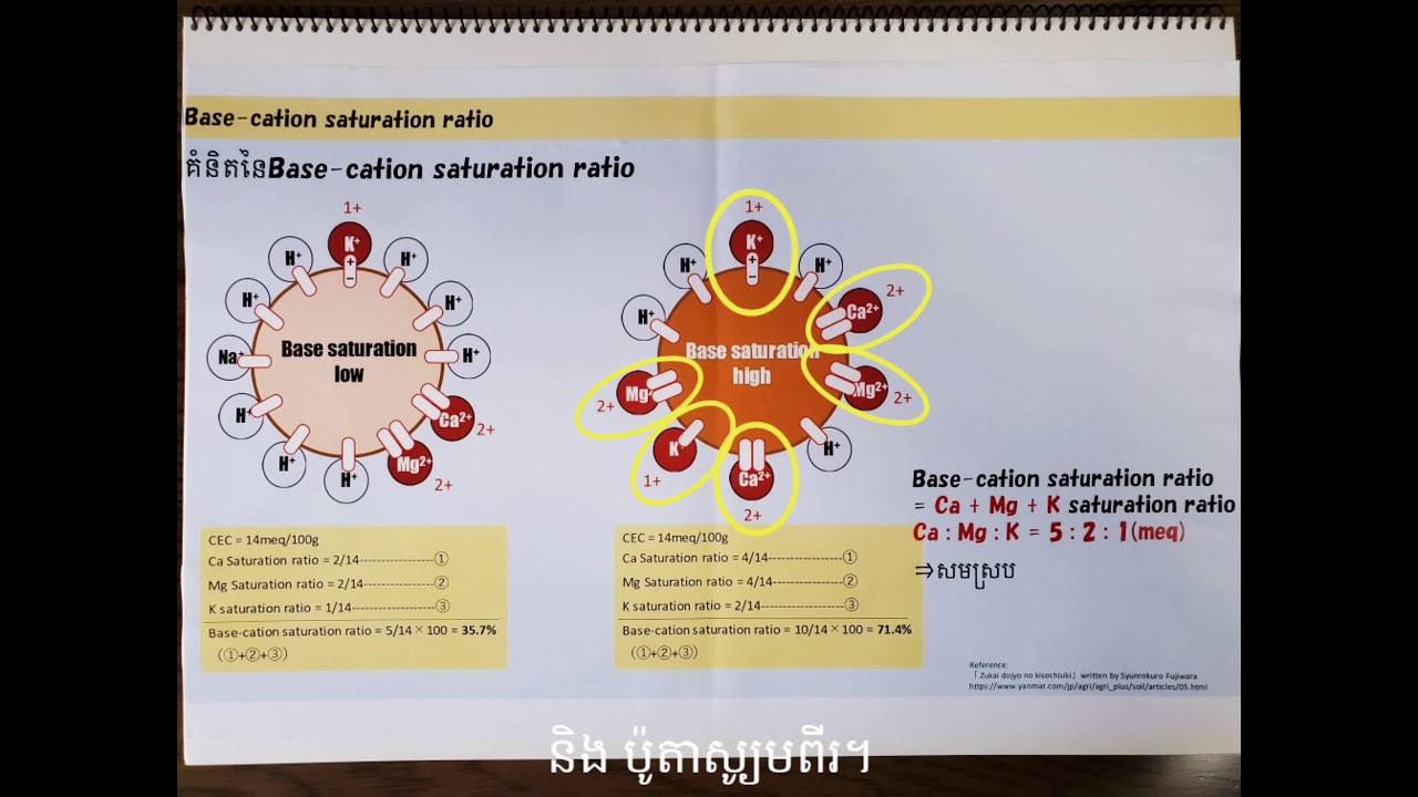 CEC និង Base-cation saturation ratio - YouTube