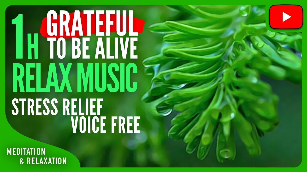 So GRATEFUL To Be ALIVE Songs voice free, RELAX MUSIC for stress relief ...