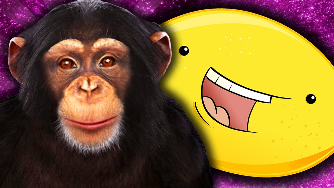 EVIE'S MONKEY! - Chimbot Cleverbot - (Funny Moments) - YouTube