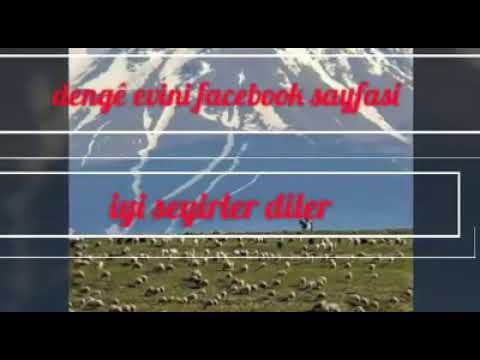 Çok güzel dengbej