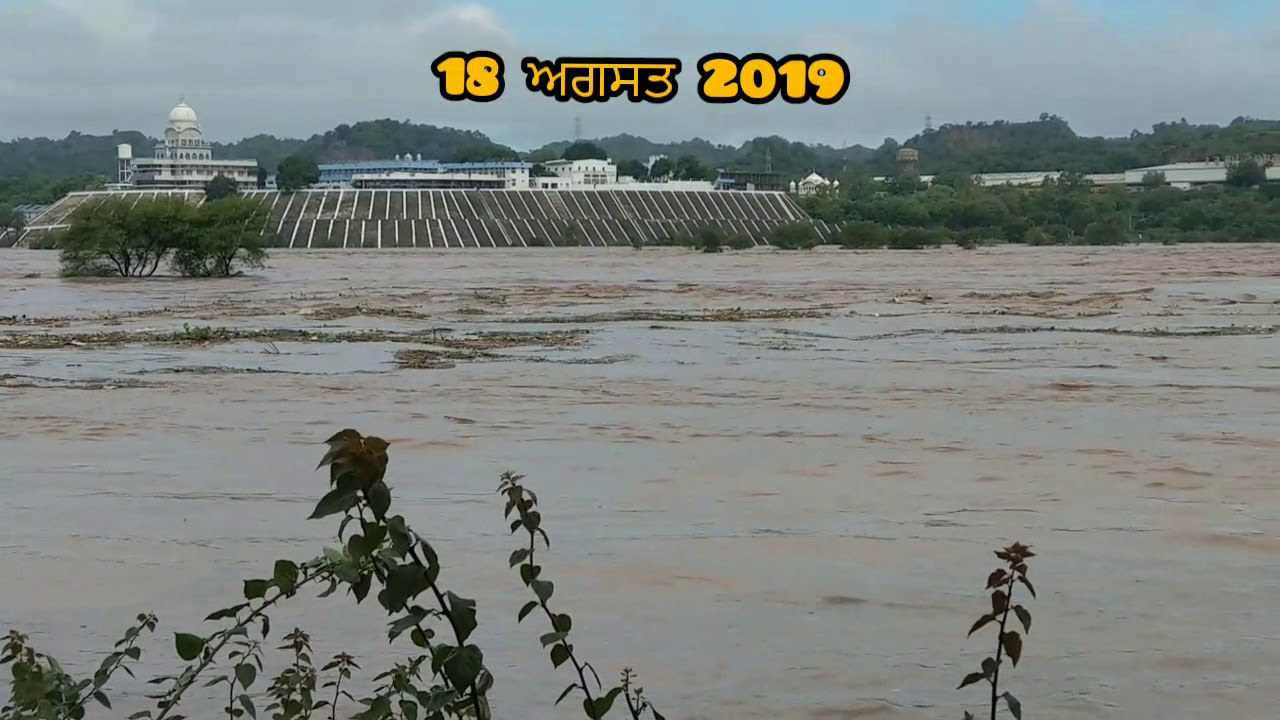 Satluj river at Ropar before Flood & at the time of flood - YouTube