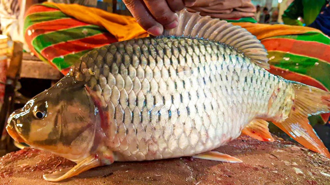 Incredible Big Red Carfu Fish Cutting Skill | Fish Cutting Skills bd ...