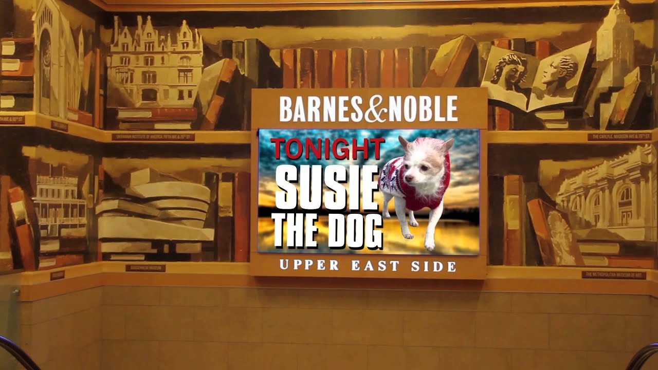SUSIE THE DOG: The Life and Times of a Public Figure - YouTube