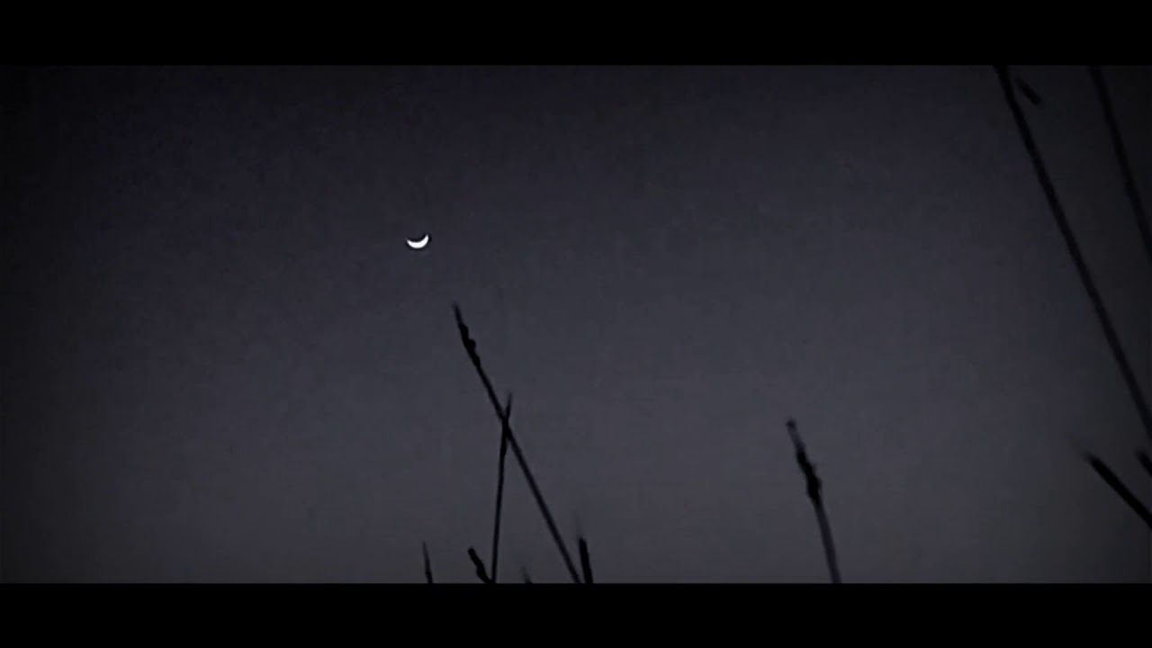 Relaxing sound with moon at night - YouTube