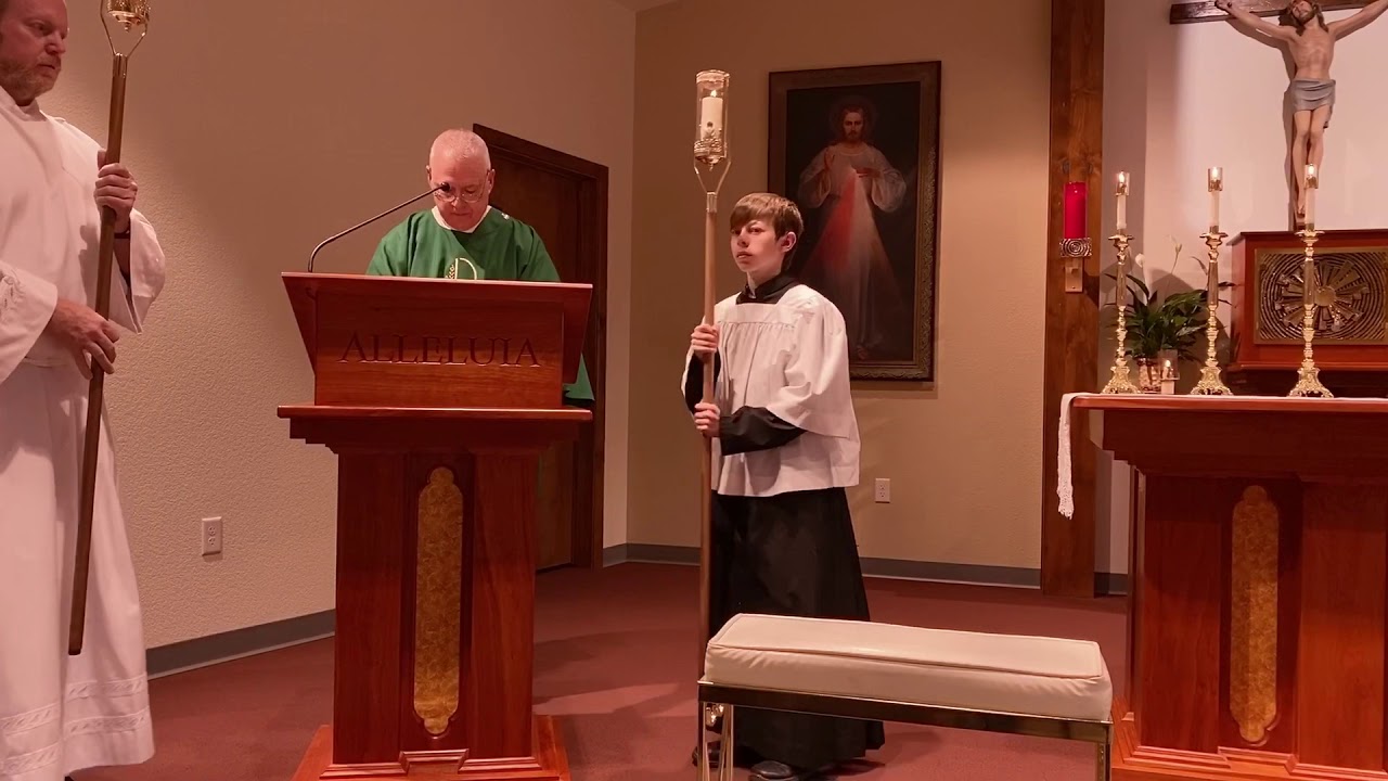 29th Sunday In Ordinary Time October 18, 2020 with Rev. Michael ...