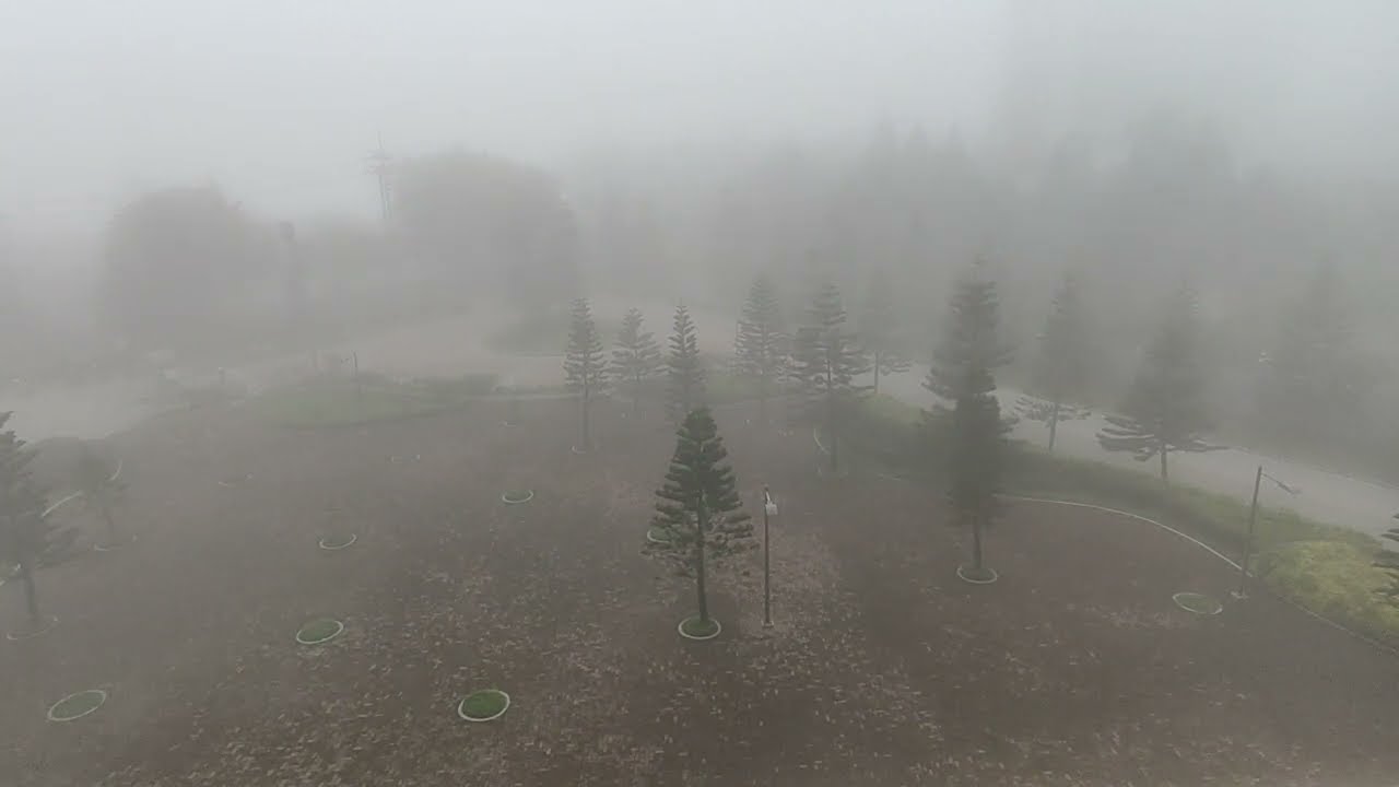 Timelapse: almost steady with the fog | Foggy Morning | SMDC Tagaytay ...