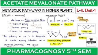 Acetate mevalonate pathway || L-3 Unit-1 || Metabolic P... | Doovi
