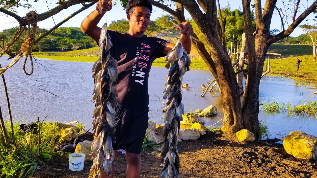 100+ Fish caught Best fishing pond | Catch N Cook - YouTube