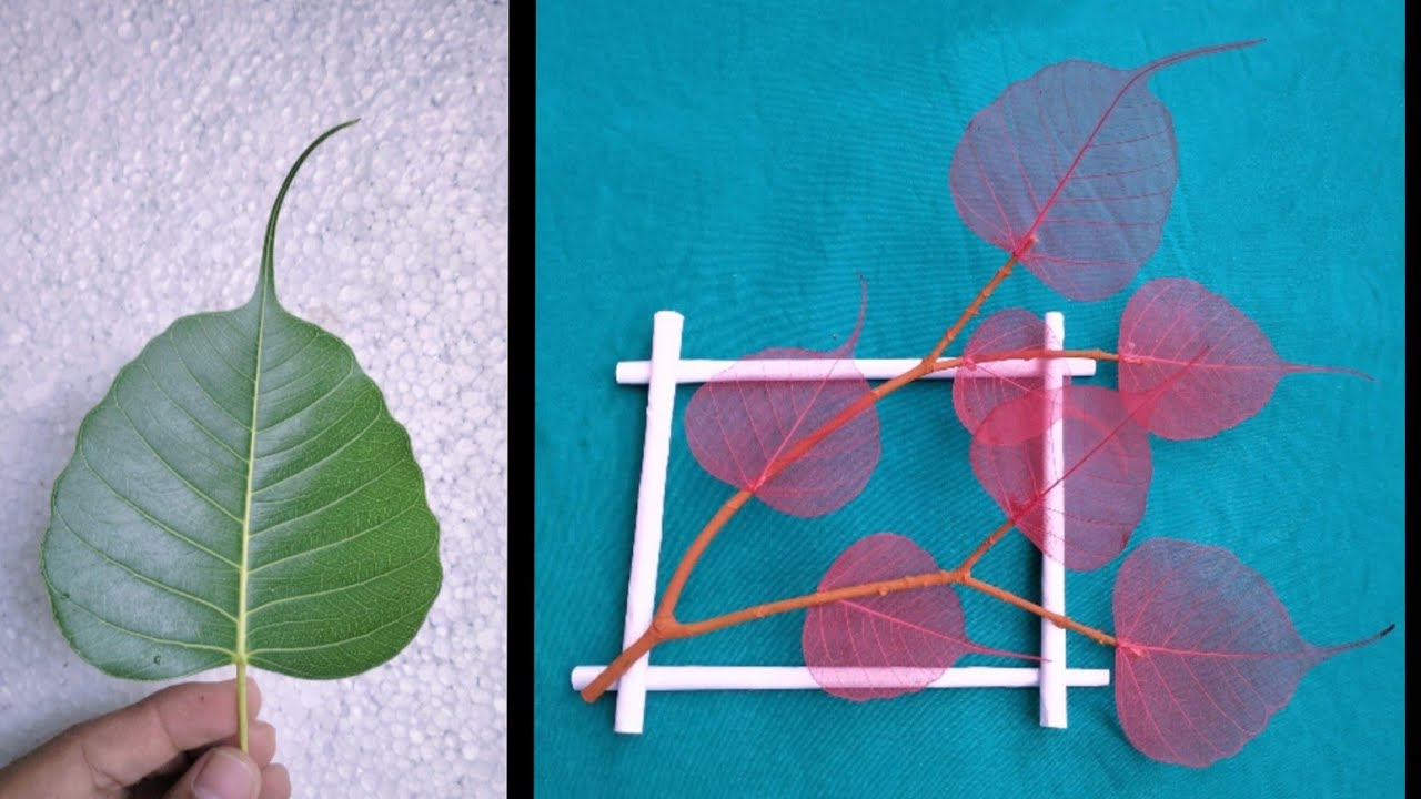 Skeleton Leave Wall Hanging | Skeleton Leaves Wall Art | Leaves Craft ...