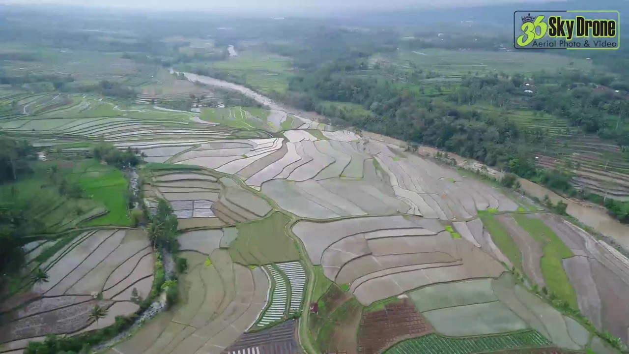 MAPPING SAWAH PAYAMAN MAGELANG - YouTube