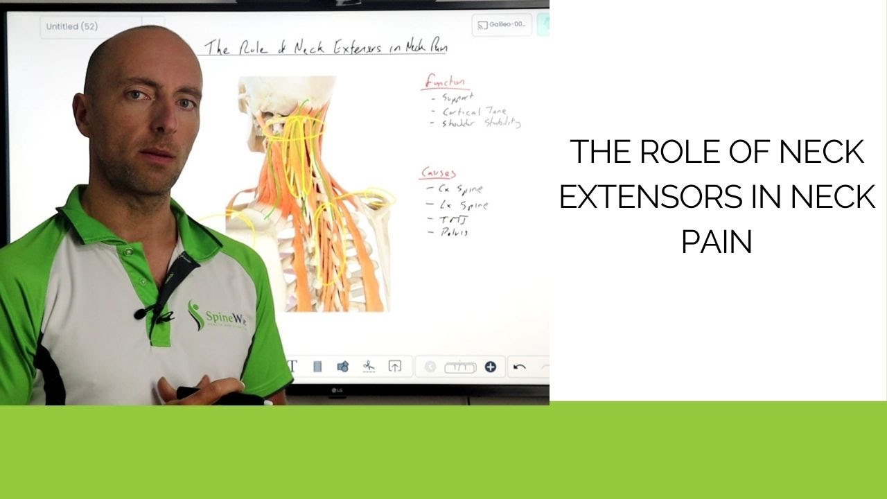 The role of neck extensors in pain - YouTube