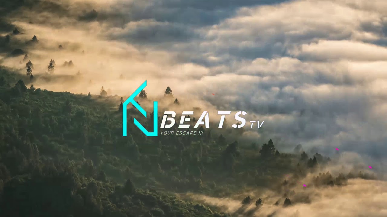 DJ Luc & DJ JF feat Kevin - PORKY [ Tarraxo ] - YouTube