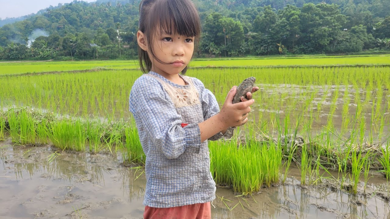 Poor Life: Orphan Girl Catches Fish to Feed Herself - Lý Linh Kiệt ...