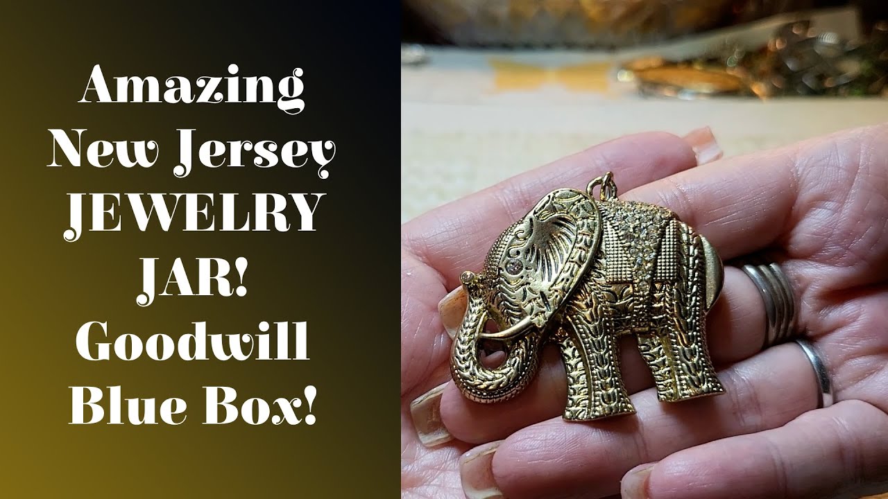 AMAZING JEWELRY JAR!! Goodwill Blue Box From New Jersey! - YouTube