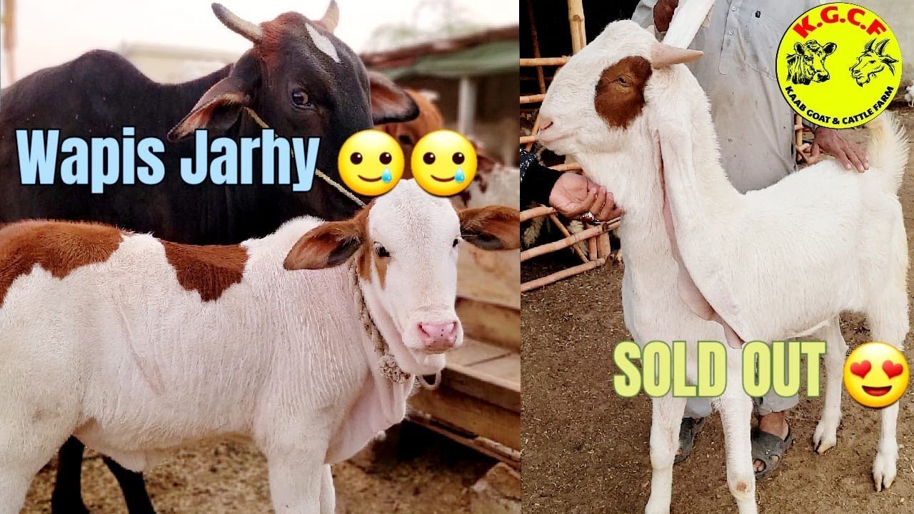 New Entries aur agyi 😍 Par ek New Entry wapis jarhi 😏 Magar KYUN? - YouTube