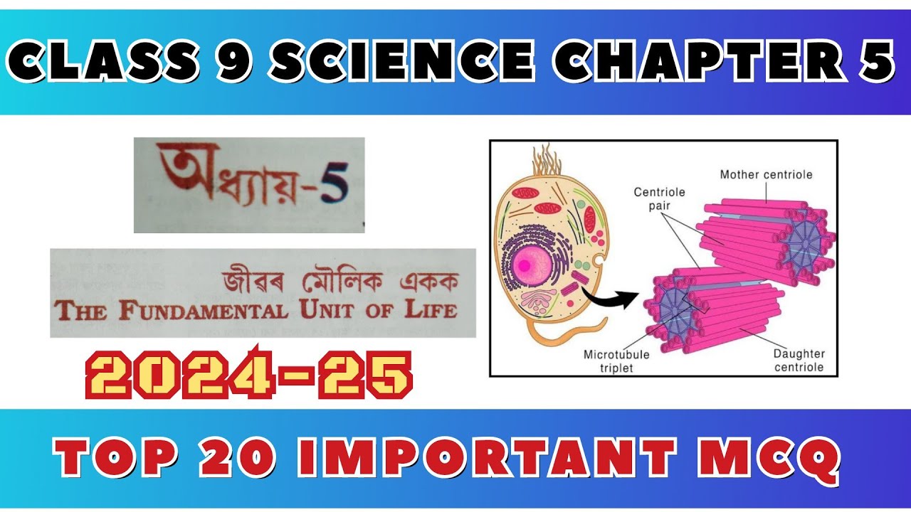 Class 9 science chapter 5 MCQ/জীৱৰ মৌলিক একক/The Fundamental unit of ...