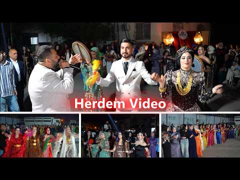 Herdem Productıon Koma Berfin / Ahmet & Zeynep Henna #part2