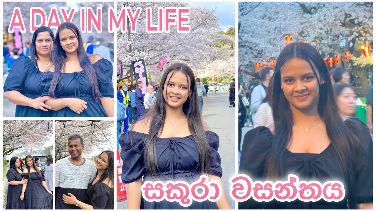 ජපානයේ සකුරා වසන්තය 💕 A Day In My Life Mom And Dad Japanese Street