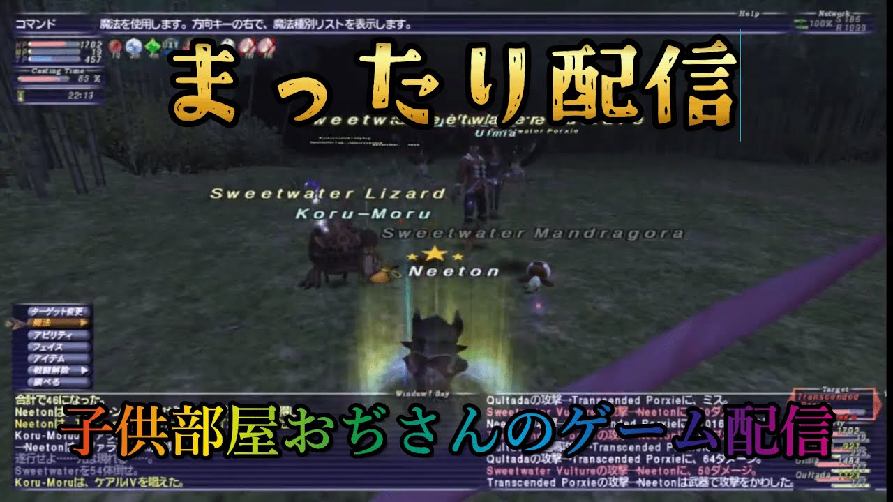 【FF11】美人なお姉さんとイケメンなお兄さんと共にソーティAE攻略の旅 - YouTube