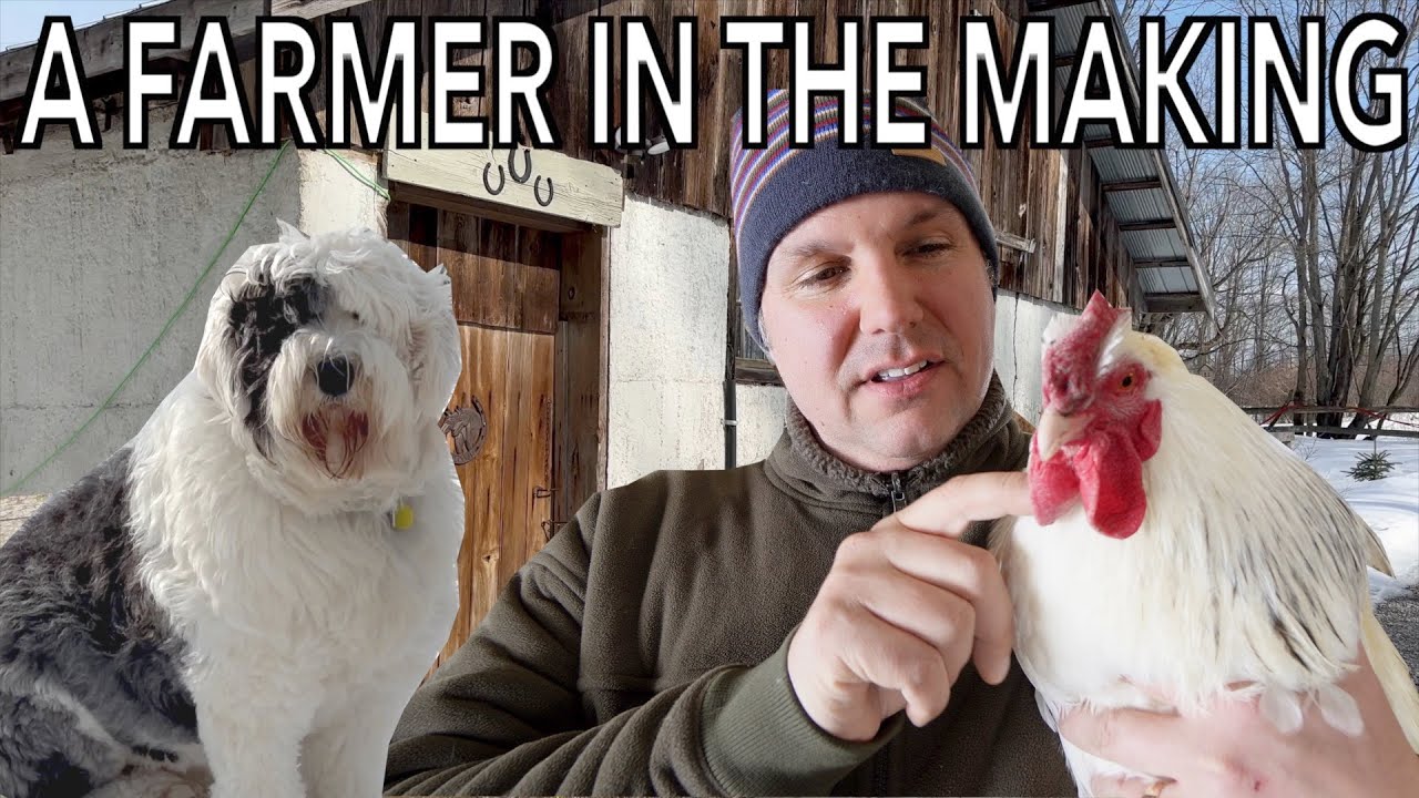 I Was Born For Homestead Life - YouTube