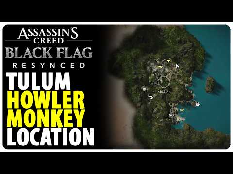 Tulum Howler Monkey Location | Assassin's Creed Black Flag Resynced