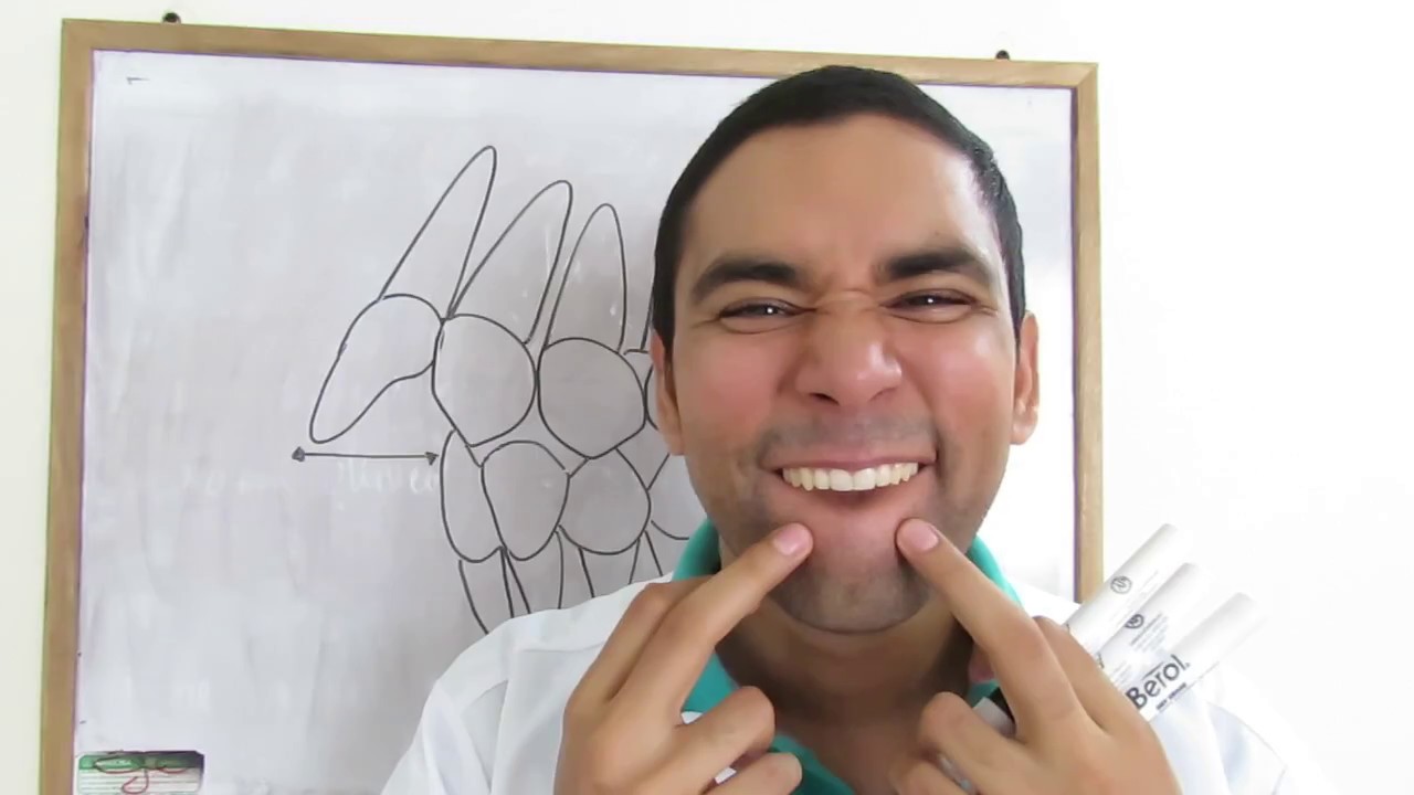 Que es un paciente Clase II en Ortodoncia y Odontologia? y como se ...