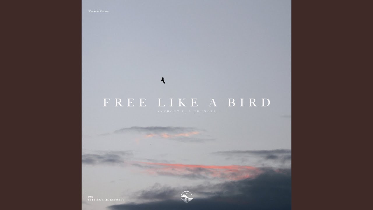 Free Like a Bird - YouTube