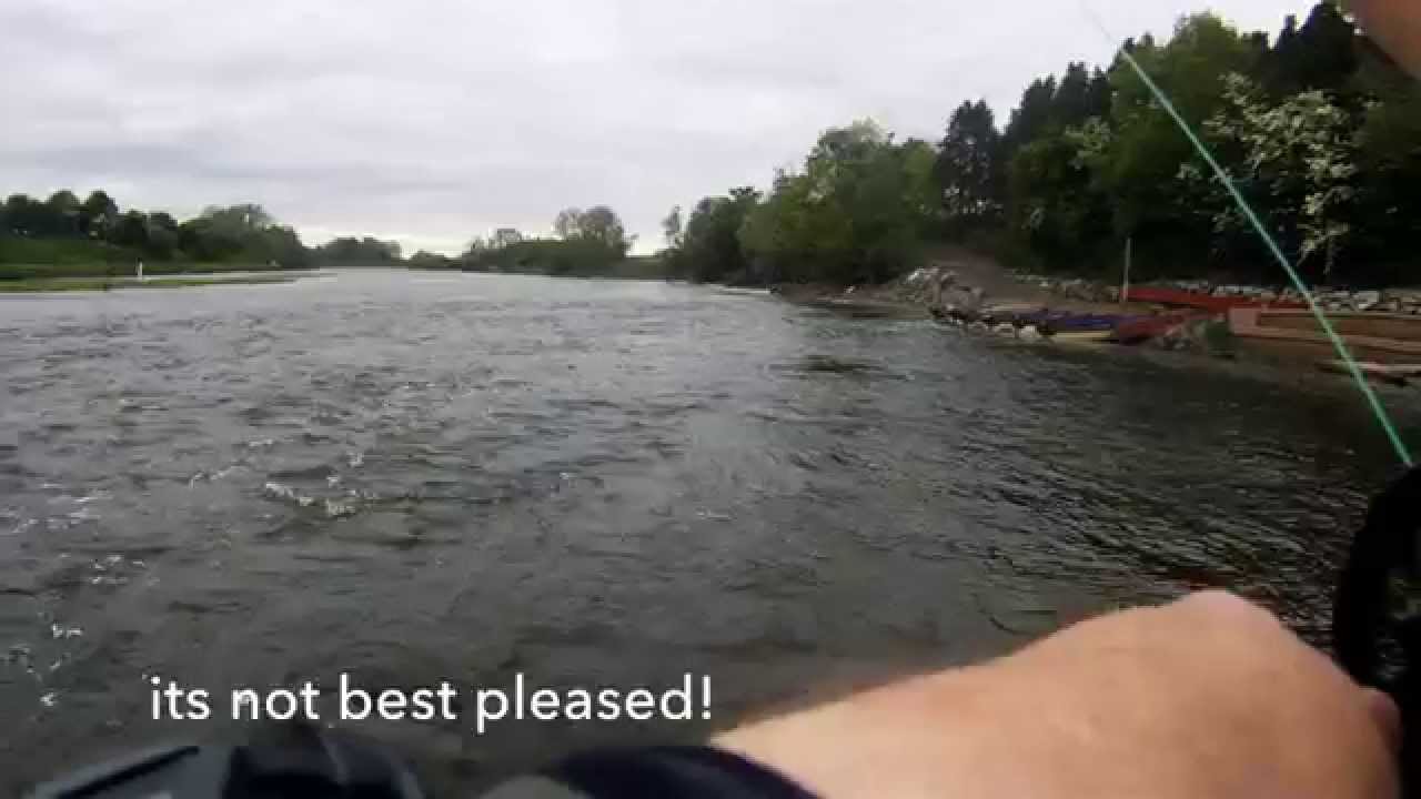 Spring fishing on the River Bann at Carnroe - 23 May 2014 - YouTube