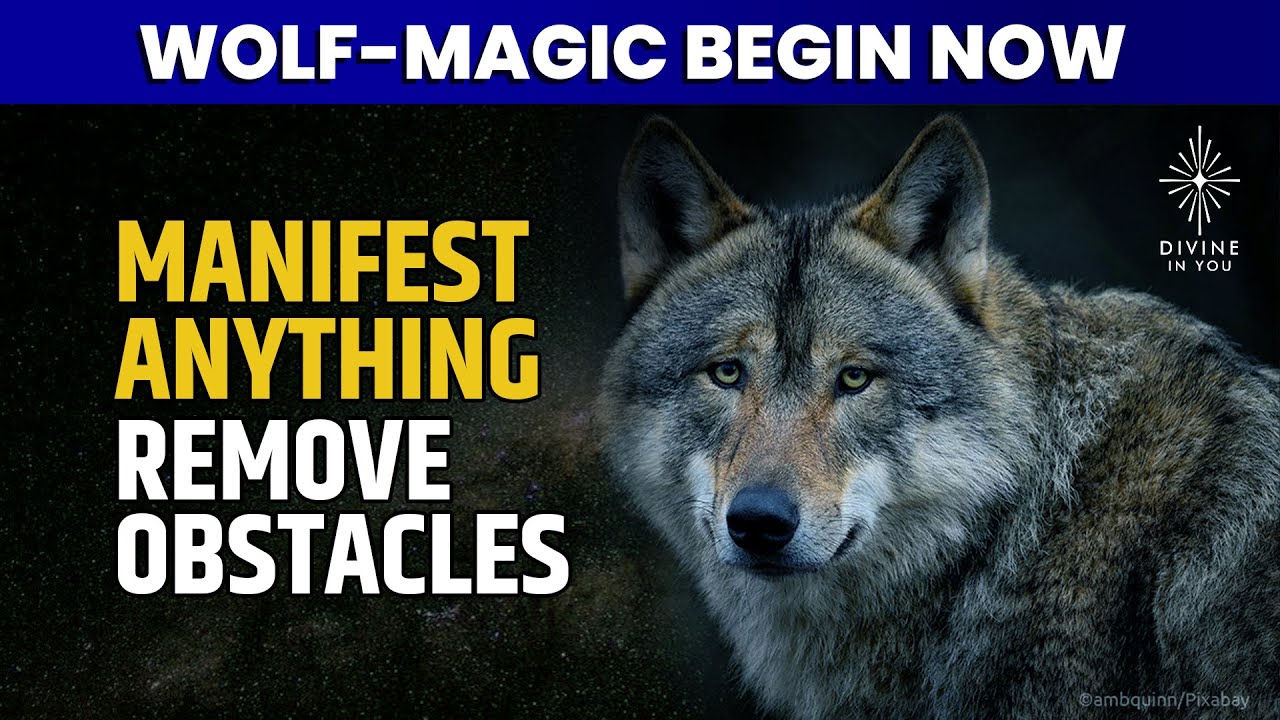 WOLF MAGIC BEGIN NOW, Most Powerful Switchword, जब भी जरूरत हो, WOLF को ...