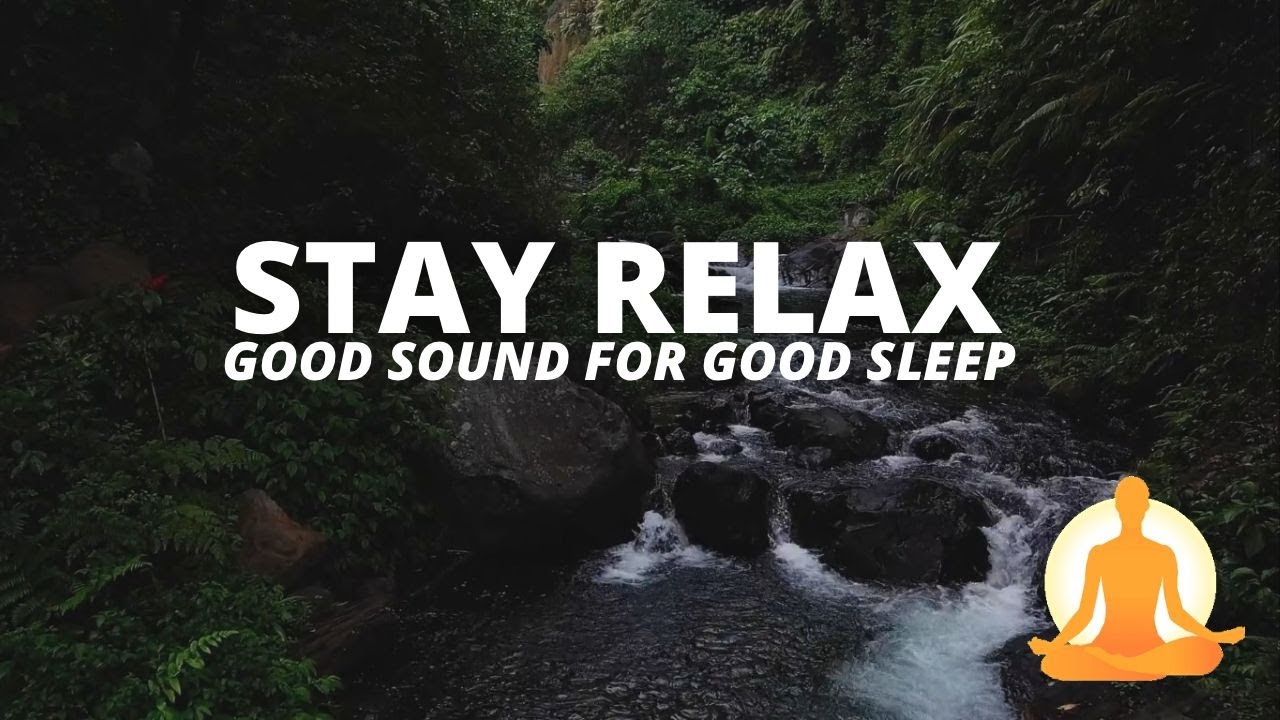 GOOD SOUND FOR GOOD SLEEP | Beautiful Birds Sound | REST TO YOUR BRAIN ...