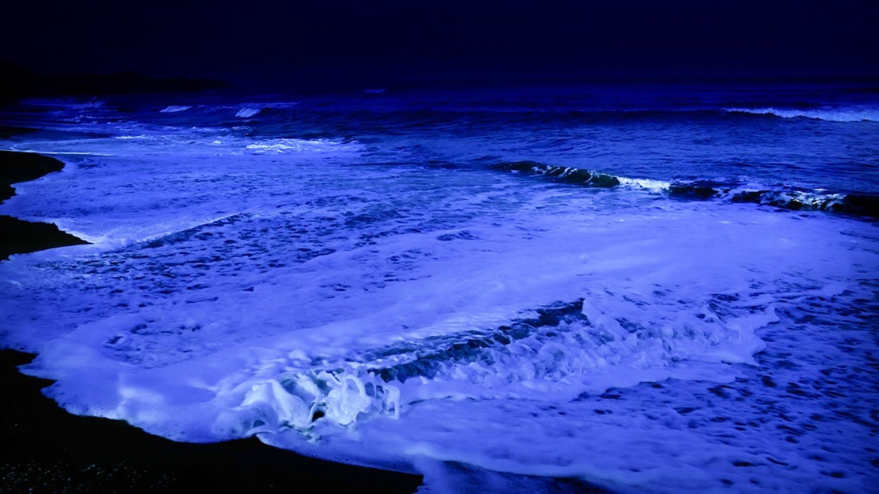Insomnia Relief In 3 Minutes with Murmuring Ocean Waves and Gentle Wind ...