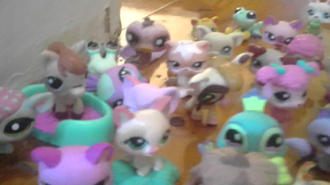 All Ruby's Pets - YouTube