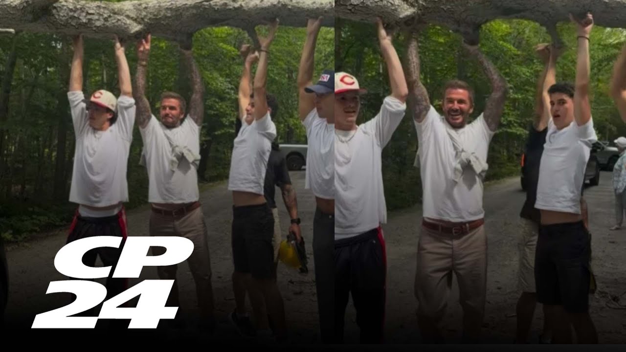 Austin Butler, David Beckham spotted lifting tree blocking roadway in ...