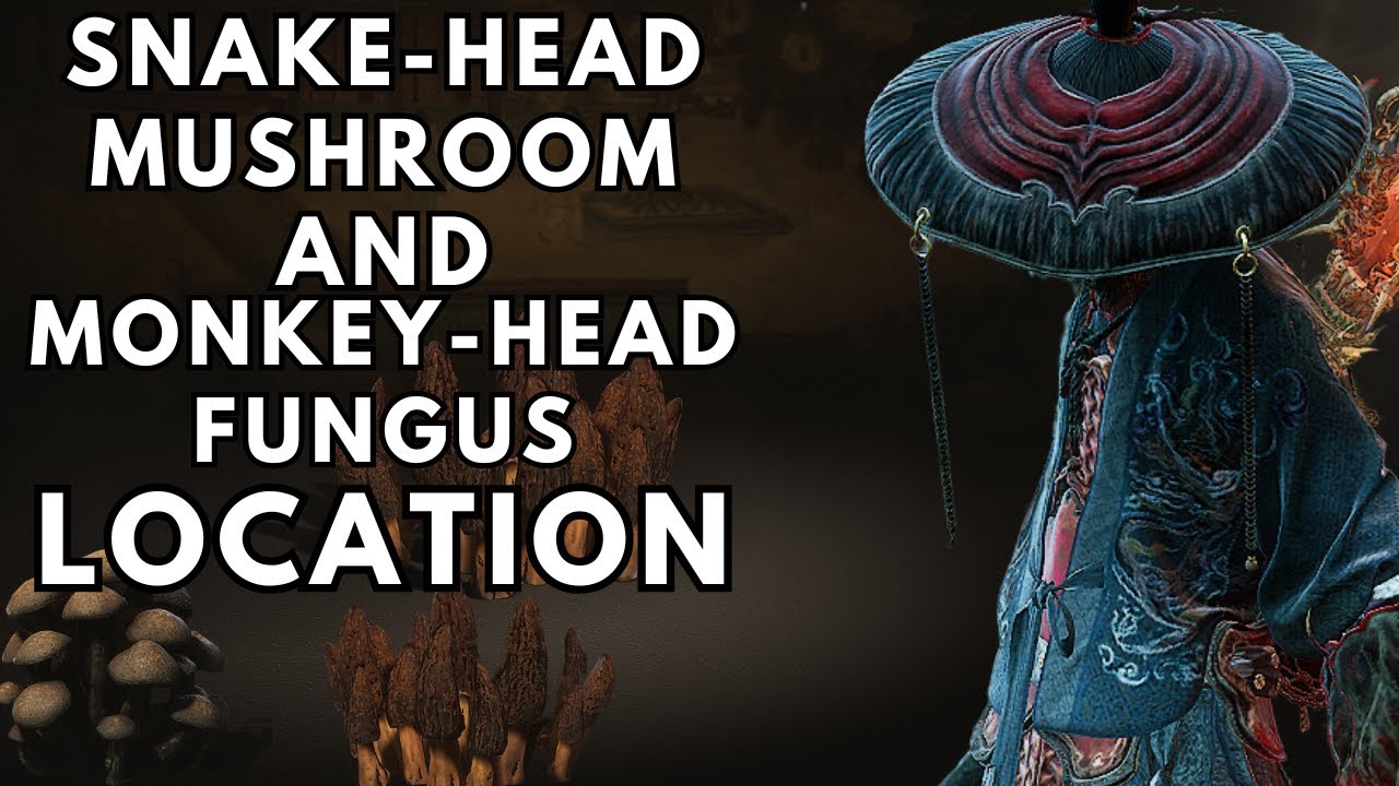 Snake-Head mushroom and Monkey-Head fungus best farming location Black ...