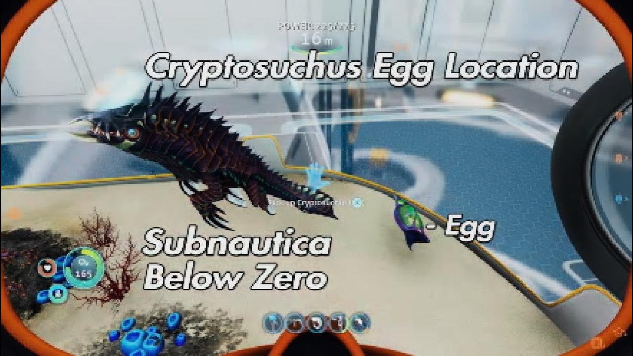 Subnautica Below Zero - Cryptosuchus Egg Location - YouTube