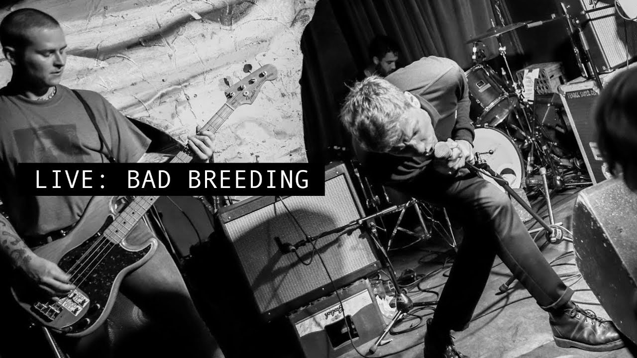 LIVE: BAD BREEDING @ The Waiting Room - YouTube