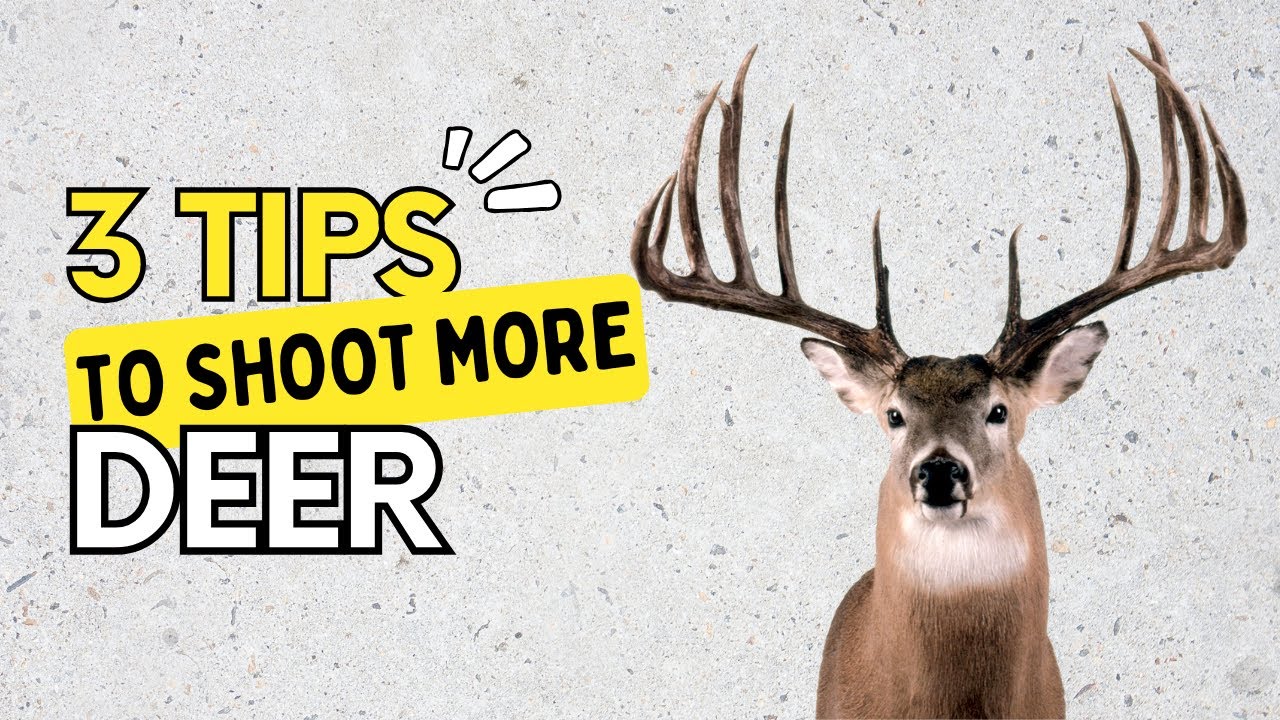 How to be a better deer hunter. 3 Tips to Shoot More Deer - YouTube
